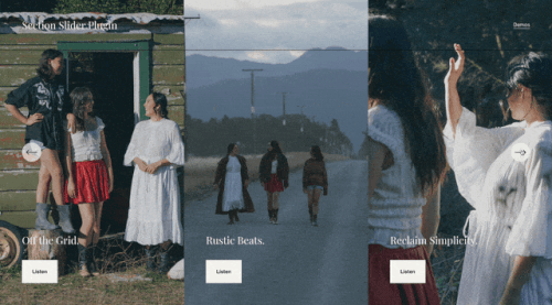 Vertical Timeline Plugin for Squarespace | Will Myers | Squarespace Plugins