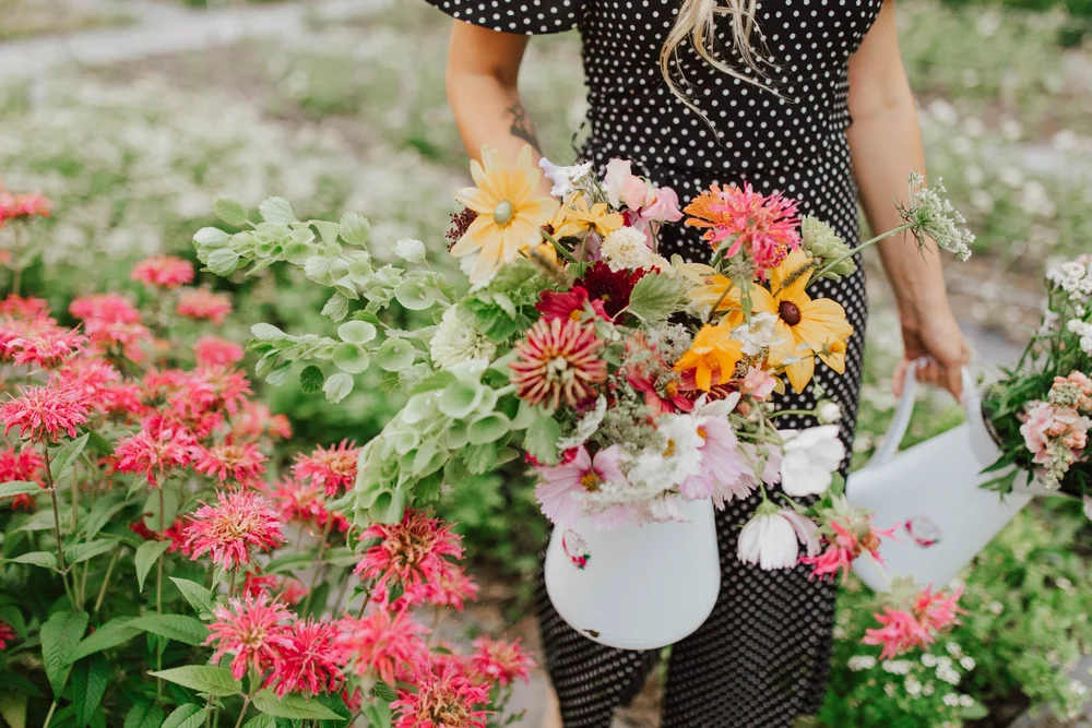 U-Pick Experience — Miss Millie's Flower Farm