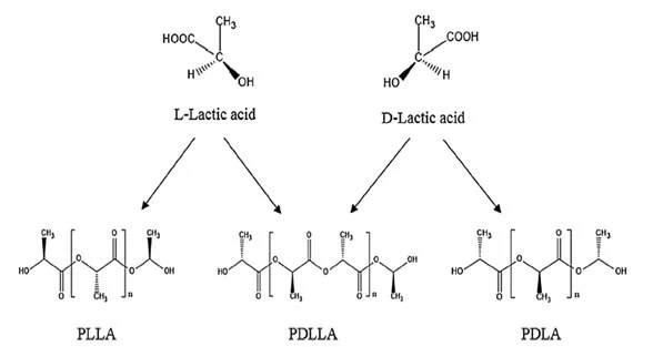 쥬베룩 정확히 이해하자 - 오해 바로잡기