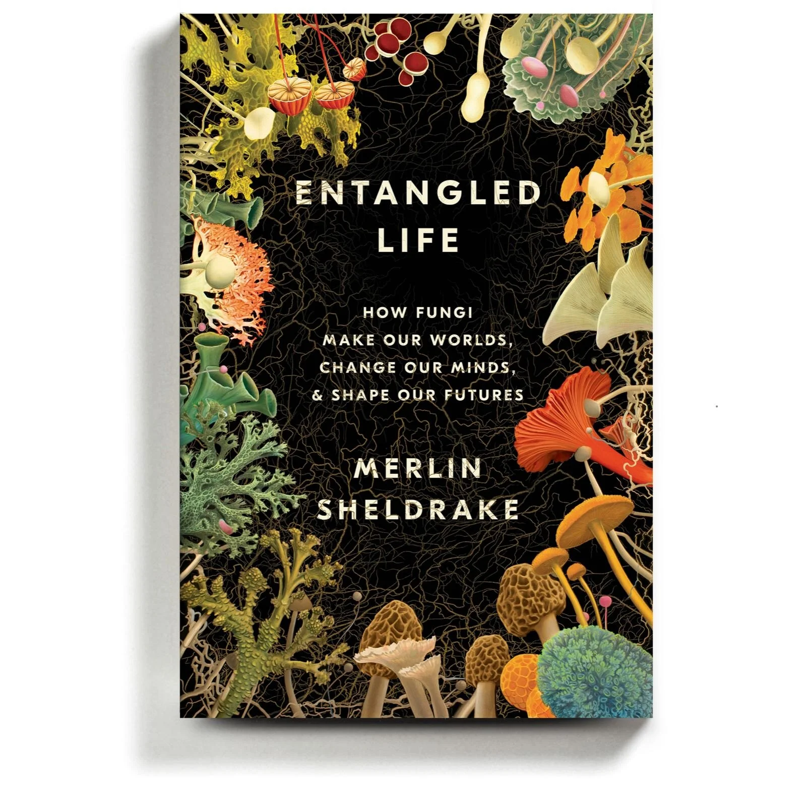 Entangled Life in the Press — Merlin Sheldrake