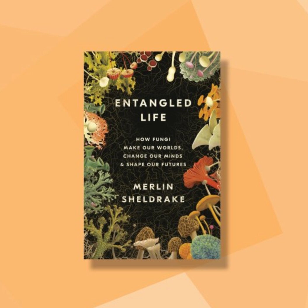 Entangled Life in the Press — Merlin Sheldrake