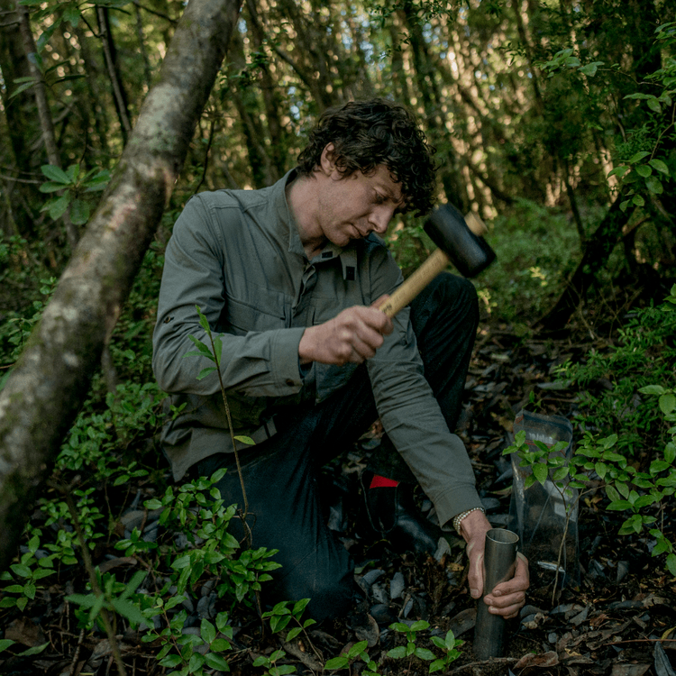 About Merlin — Merlin Sheldrake