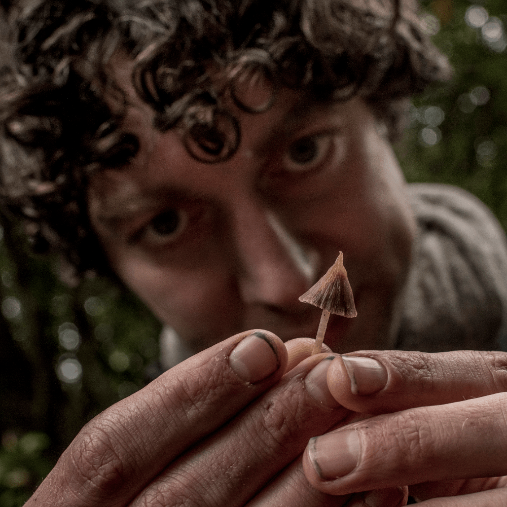 About Merlin — Merlin Sheldrake