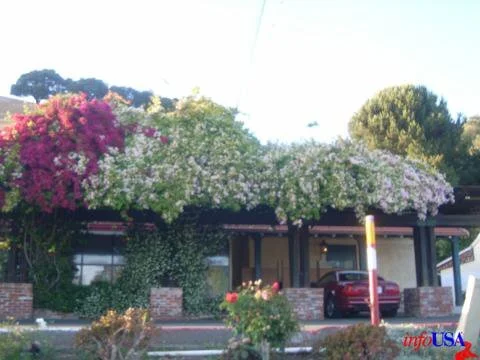 About Papillon — Papillon Restaurant