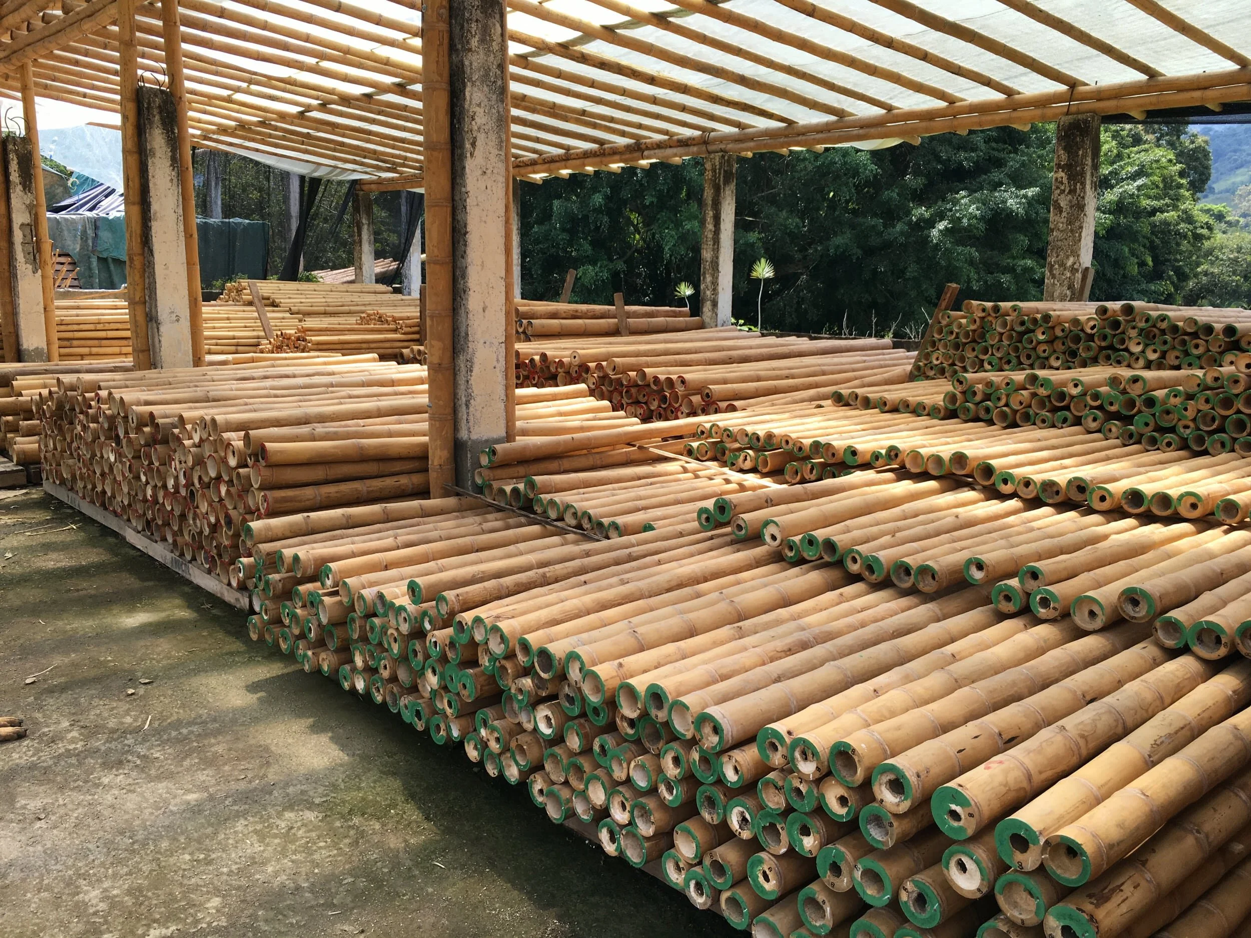Productos de Guadua Bambú Hechos en Colombia