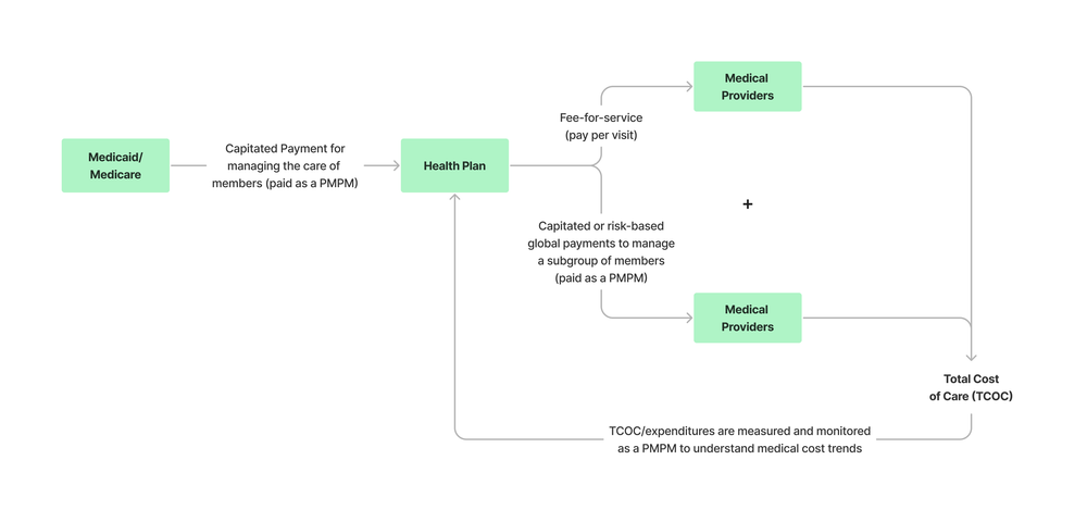 HDG #008: PMPM is the most important metric in healthcare — Stefany ...