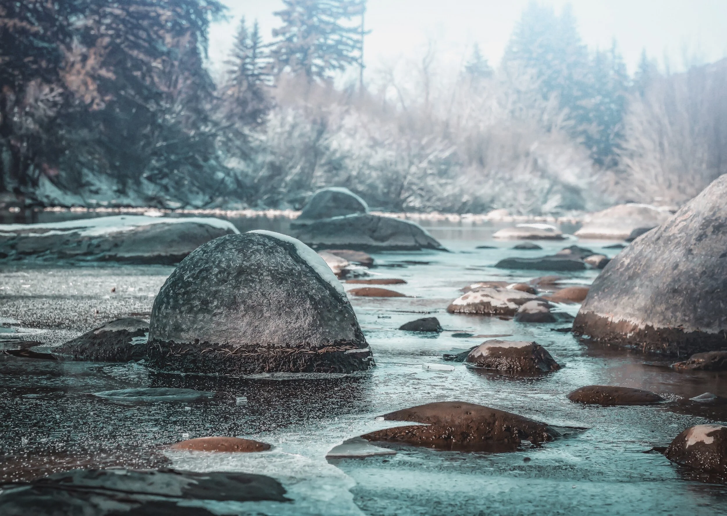 Water Cremation (Alkaline Hydrolysis) in Denver Colorado