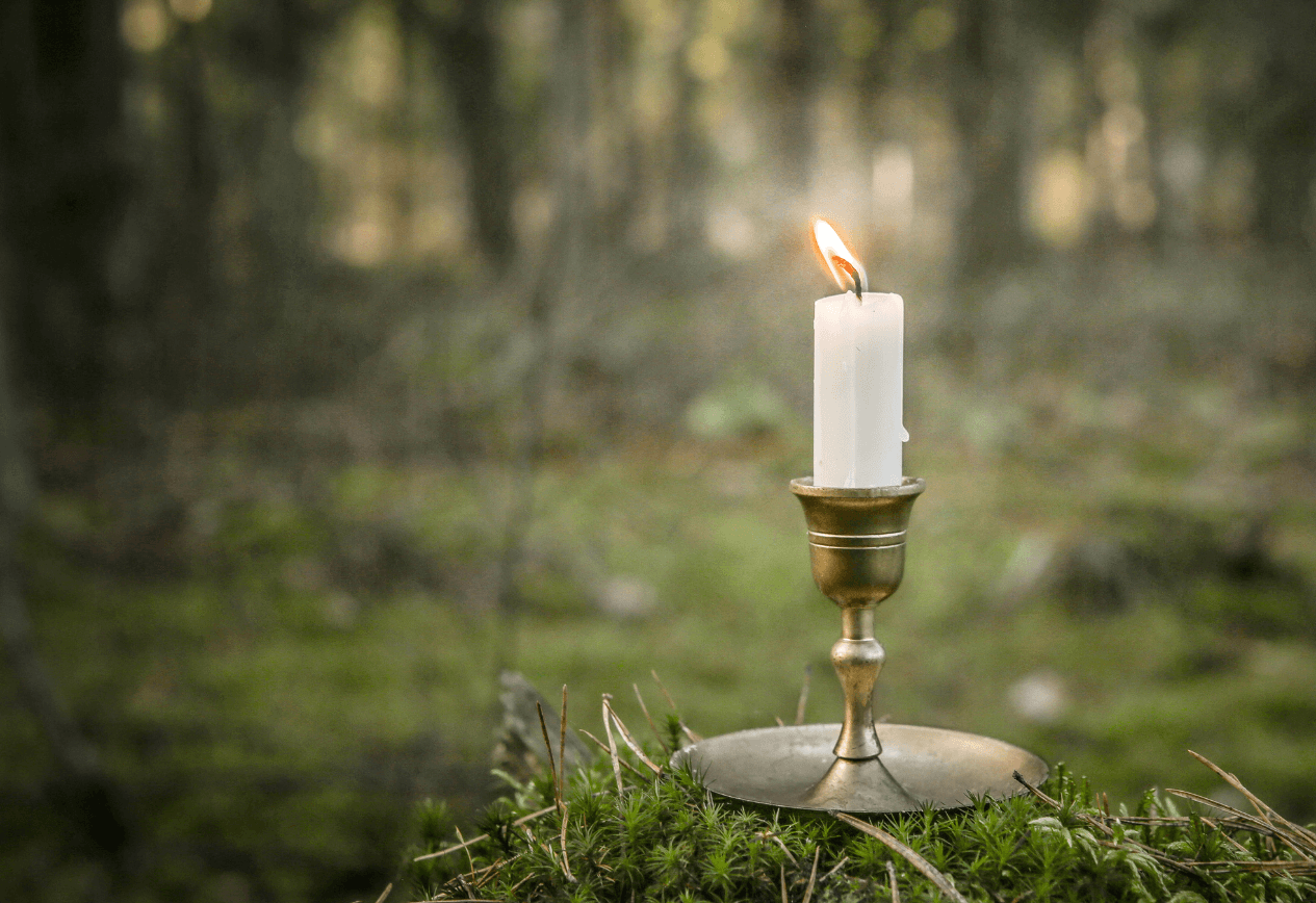 Be a Tree Cremation Denver, CO - Green Cremation in Colorado