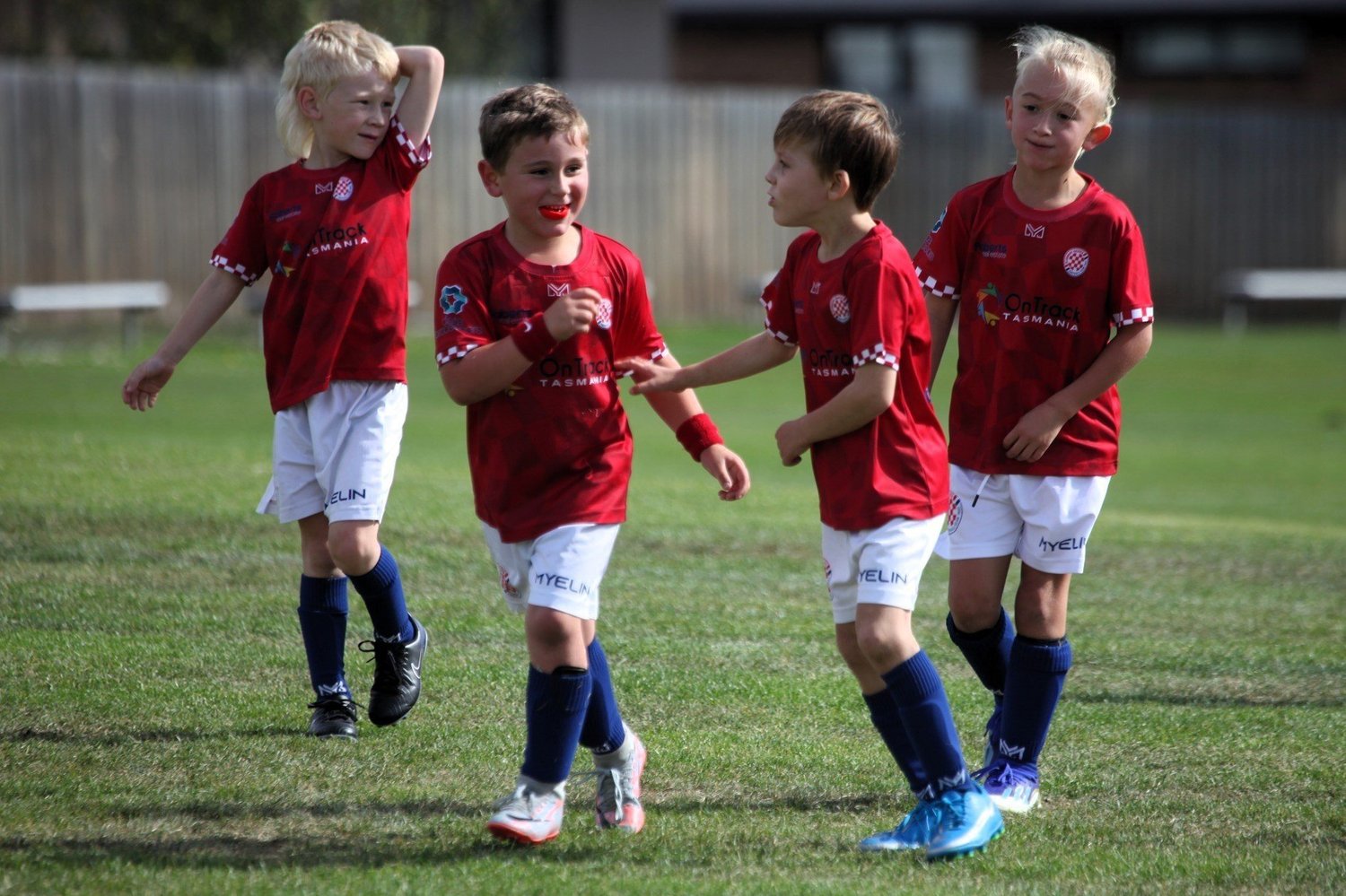 Juniors — Glenorchy Knights Football Club