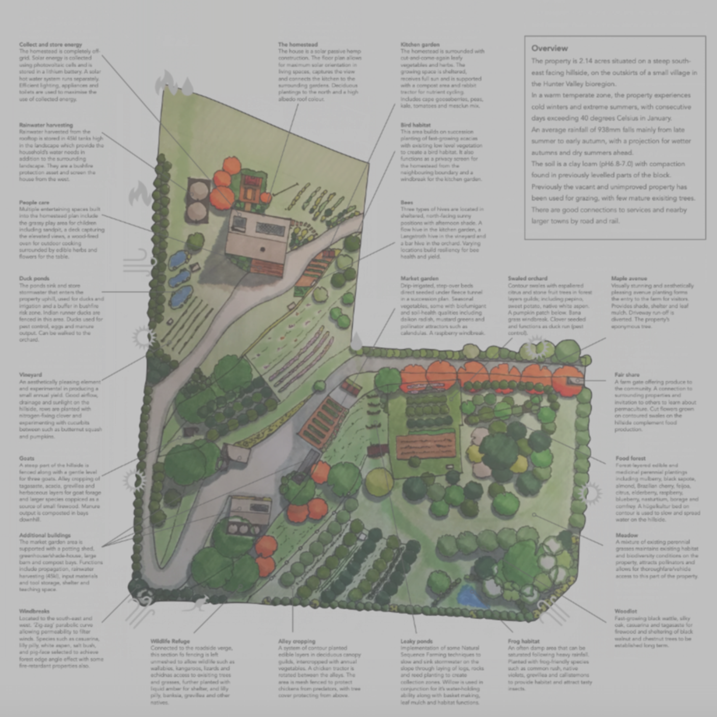 Permaculture Garden Design, Paterson - Hunter Valley