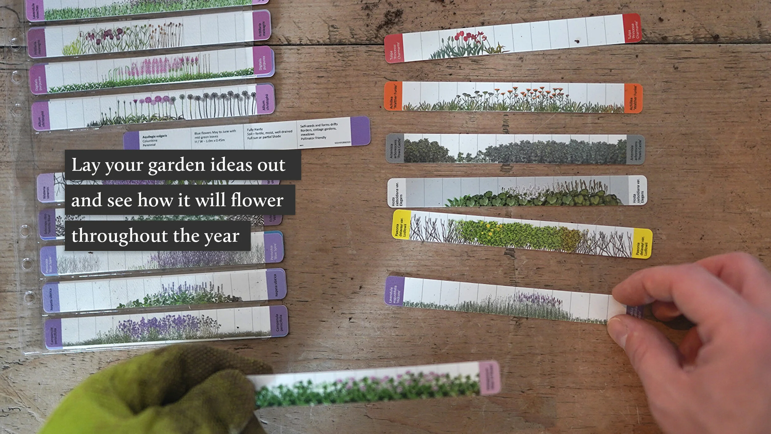 SeeHow | Garden Flowering Book