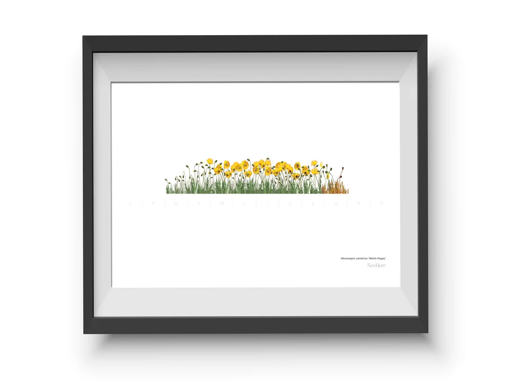 SeeHow | Garden Flowering Book