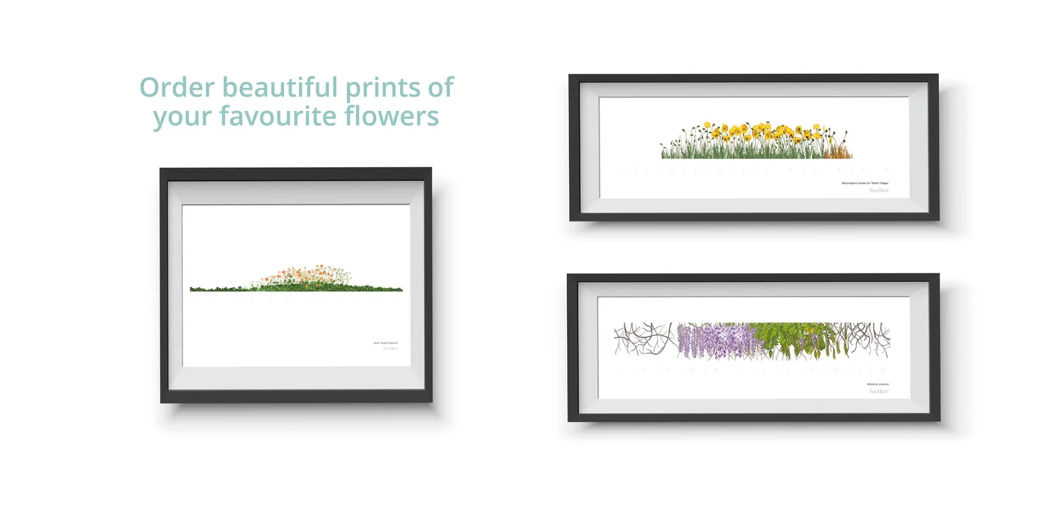 SeeHow | Garden Flowering Book