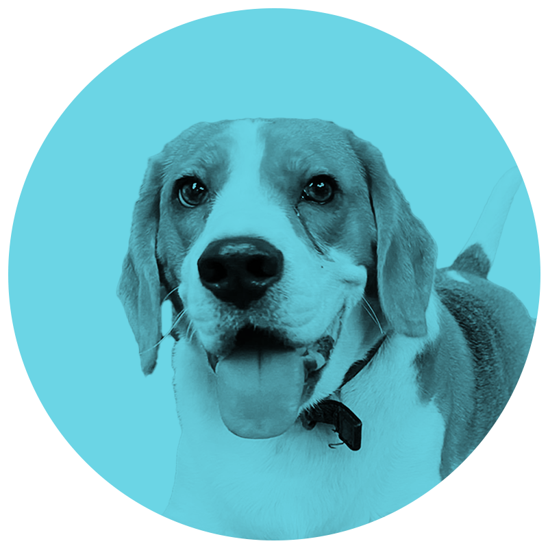 About One Day Agency > Find out more about us - One Day