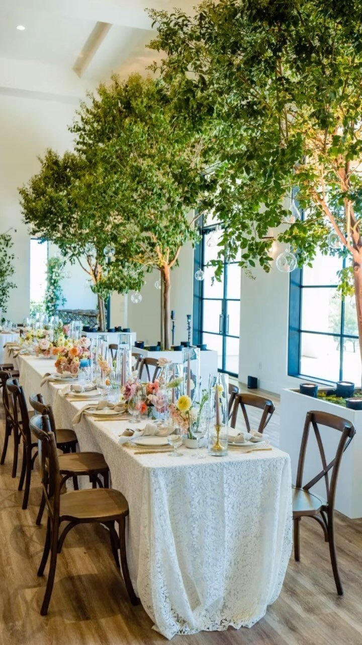 A 2024 Guide to Two Wishes Ranch, A Lockhart Wedding Venue — Lisa Hause ...