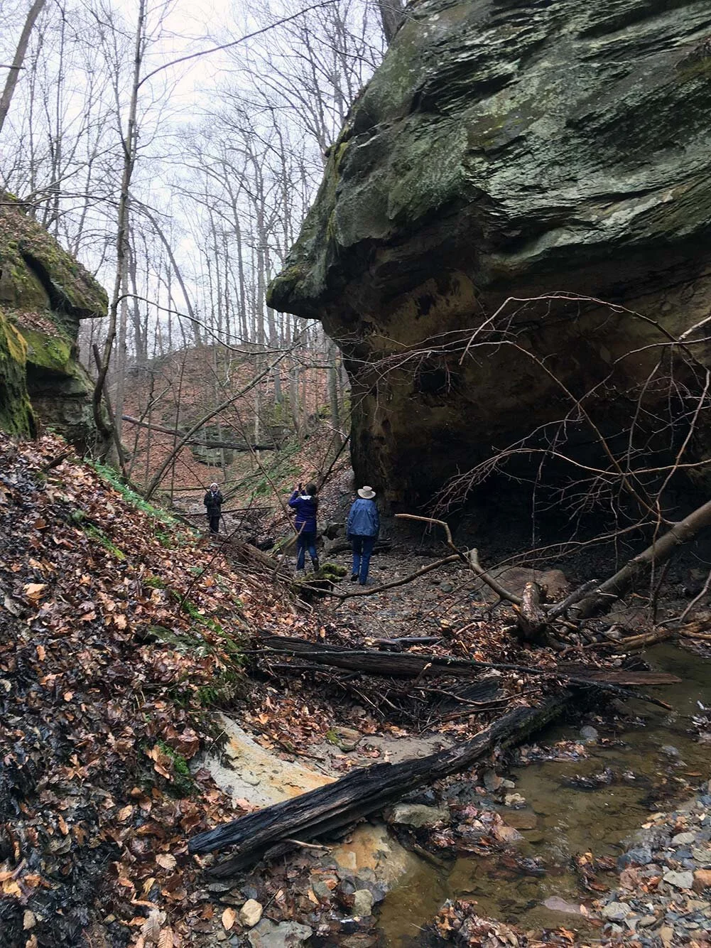 Indiana Land Trusts — Indiana Land Protection Alliance (ILPA)
