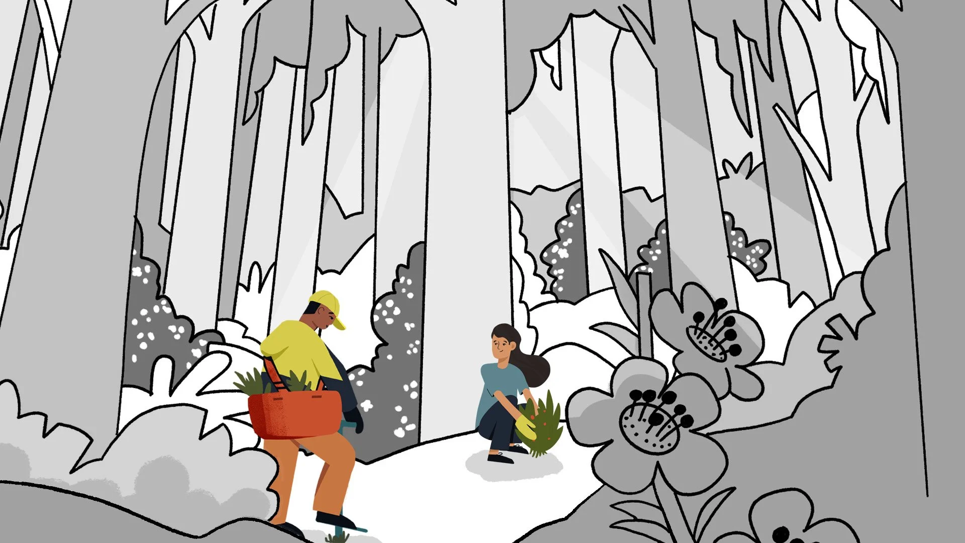 Nestlé Global | Reforestation — Hannah Saidiner