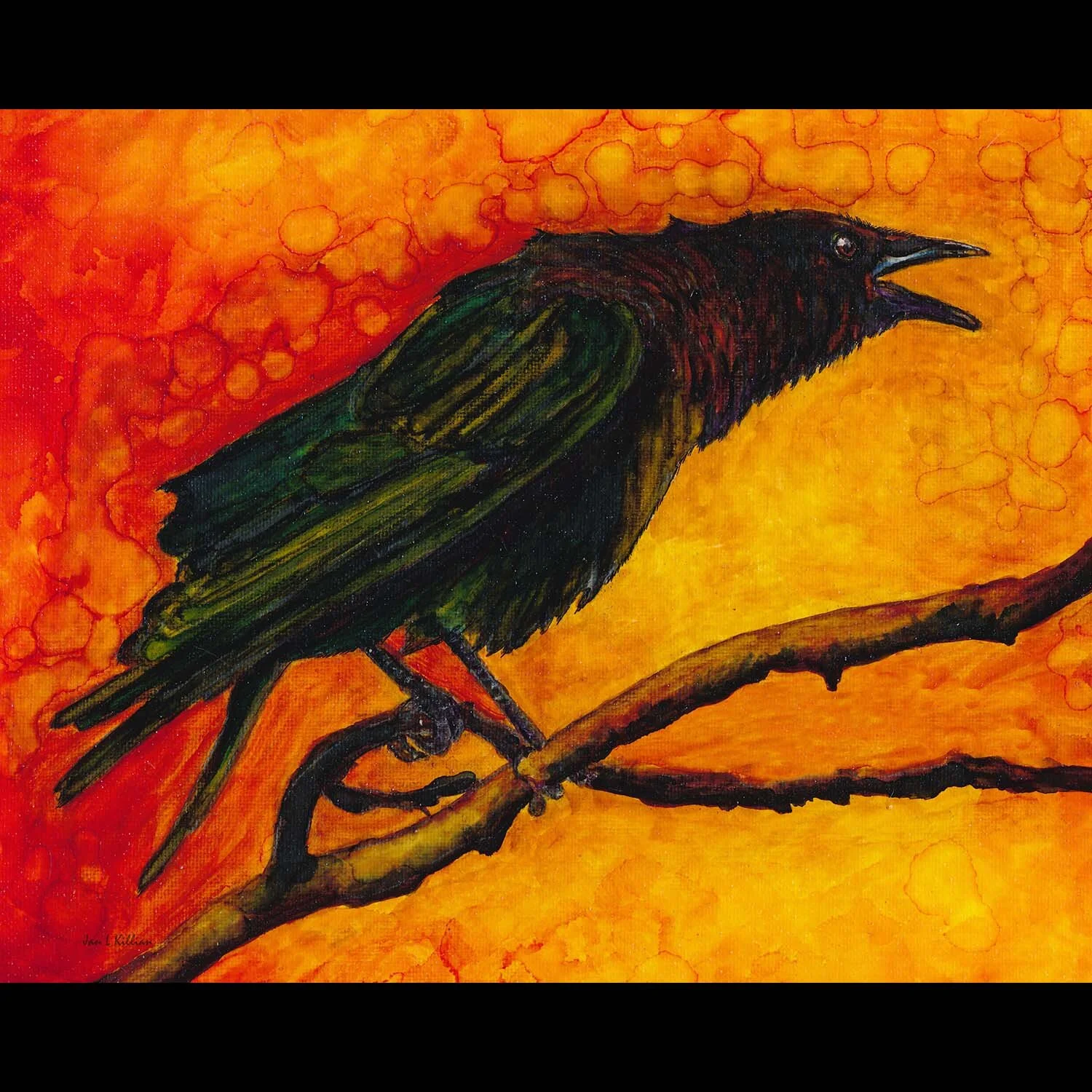 Bird Art — Woolyfrog Arts