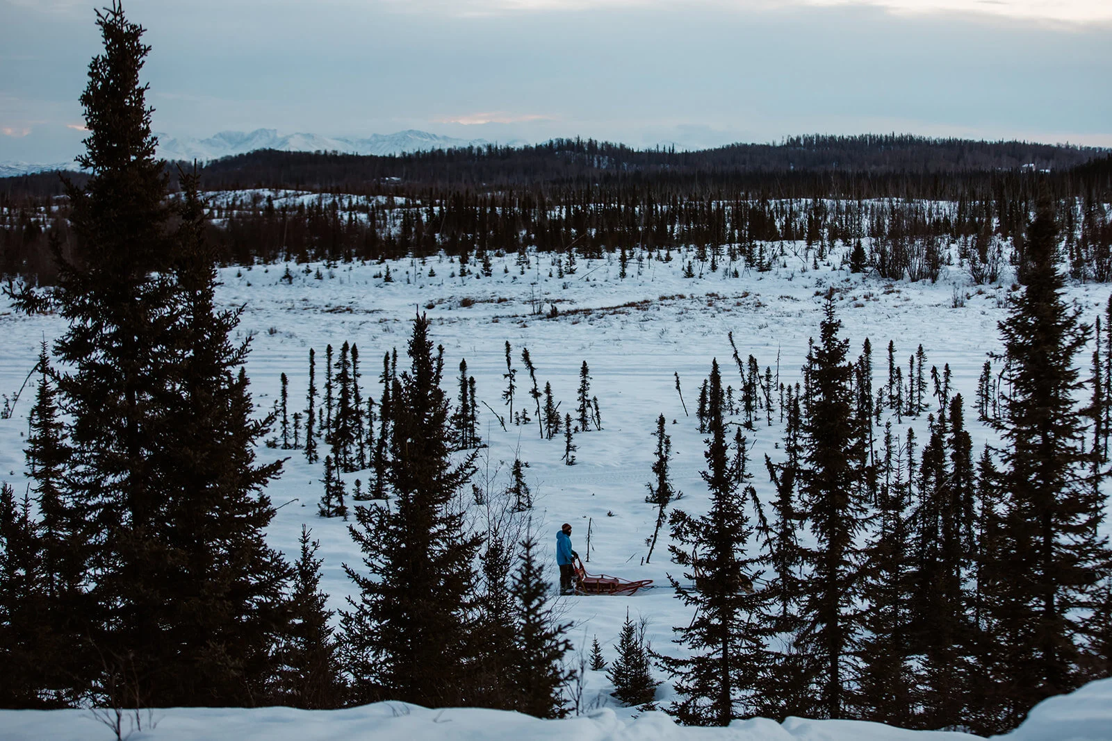 Alaska Dog Mushing Elopement - Alaska Wild Hearts Event Planning