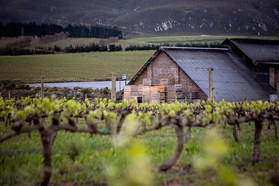 General 2 — Hemel-en-Aarde Wines