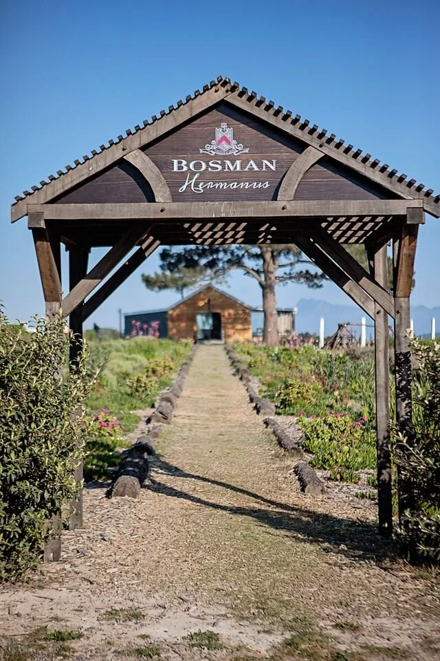 Bosman | Discover Hemel-en-Aarde Wines Today — Hemel-en-Aarde Wines
