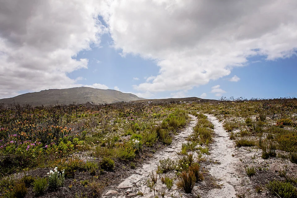 Hamilton Russell | Discover Premium Wines Today — Hemel-en-Aarde Wines