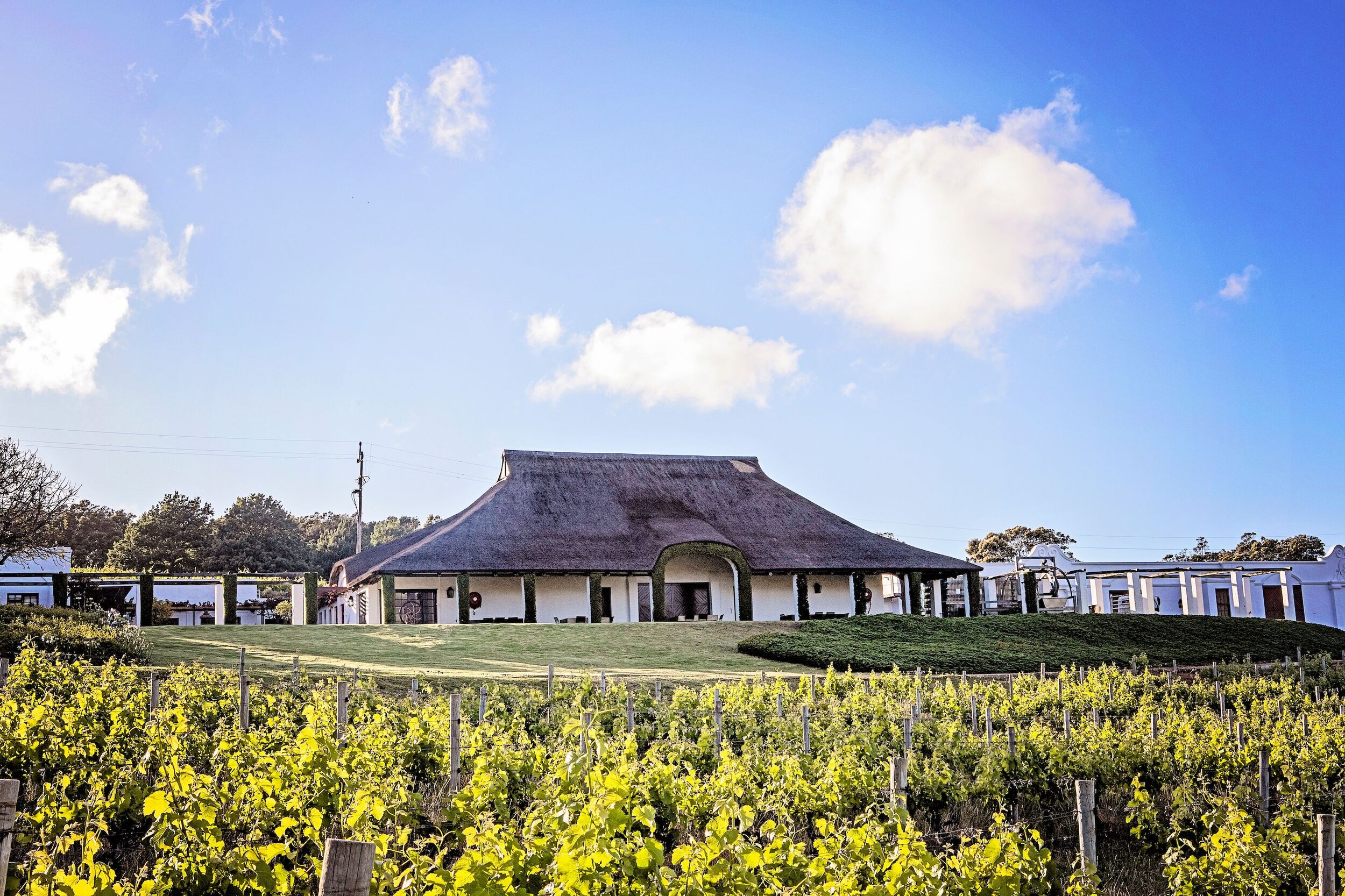 Bouchard Finlayson — Hemel-en-Aarde Wines