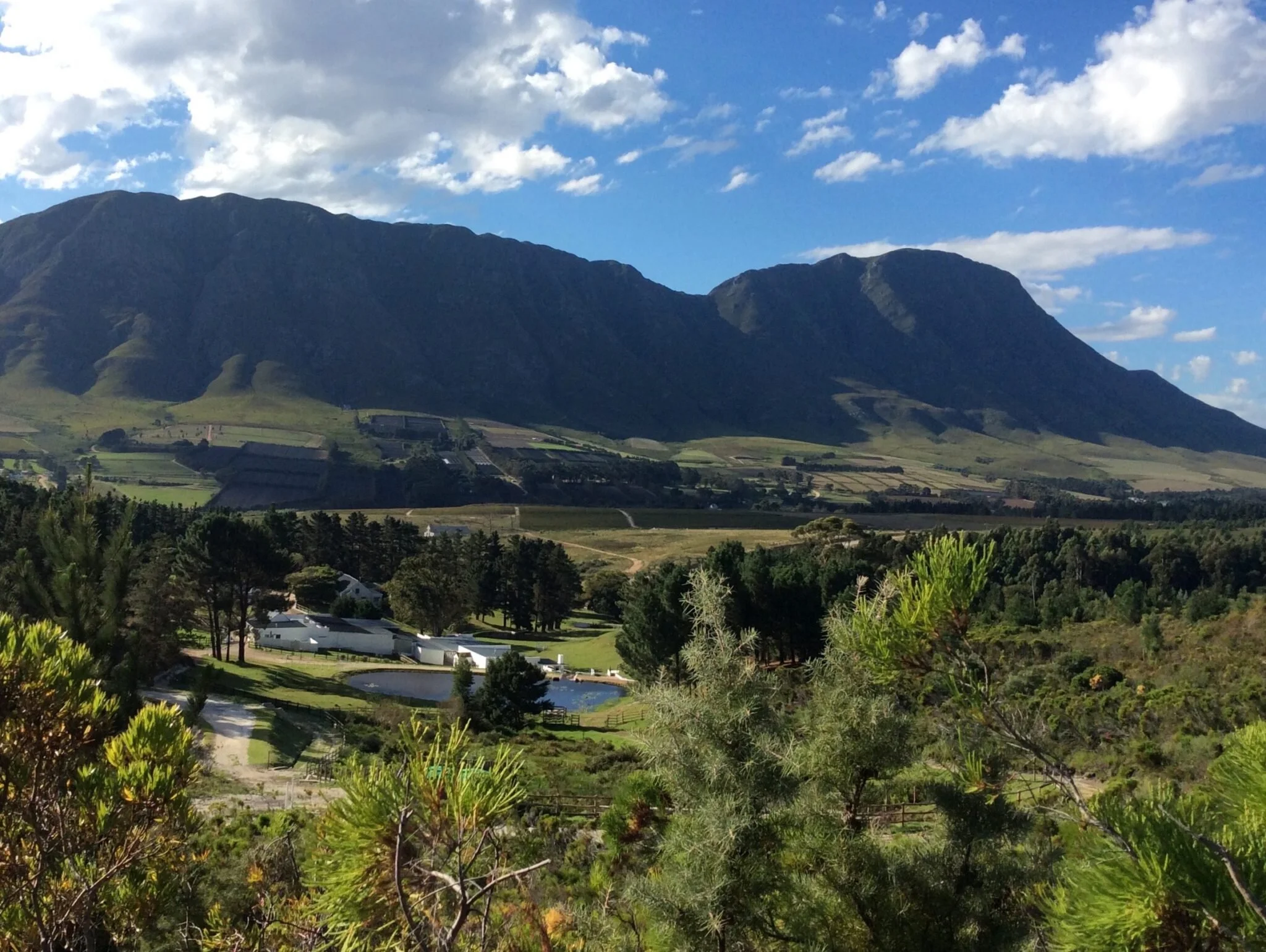 High Season Farm — Hemel-en-Aarde Wines