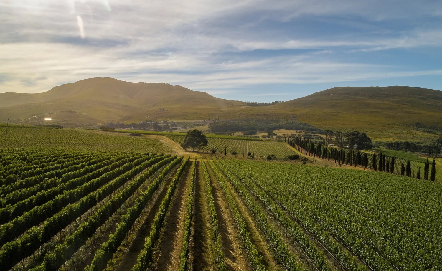 Hamilton Russell | Discover Premium Wines Today — Hemel-en-Aarde Wines