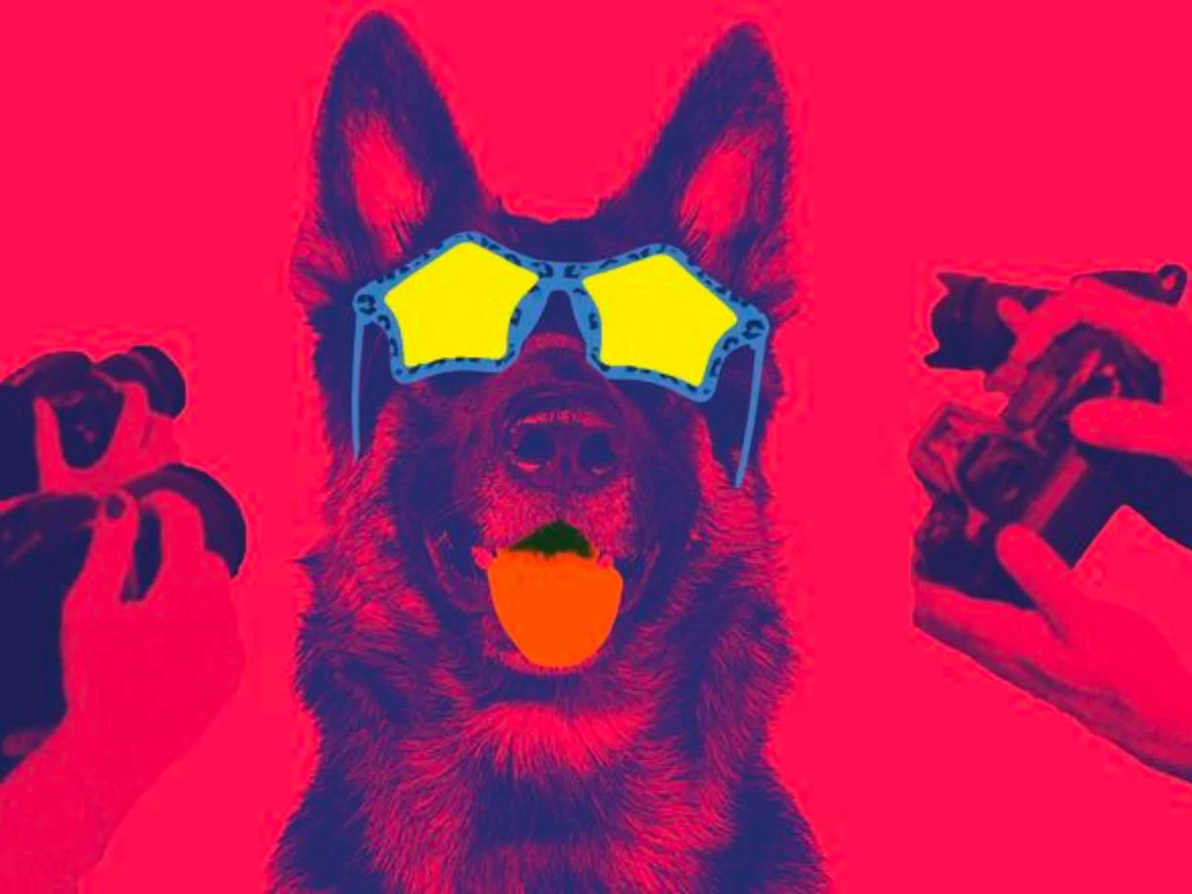 How to be Famous in 6 Easy Steps — Sweat+Co