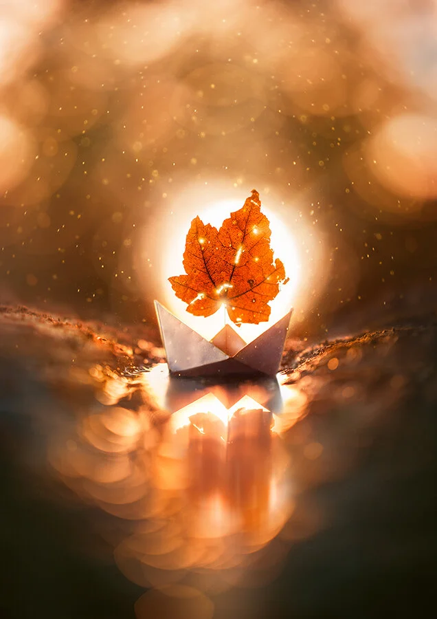 Ashraful Arefin - An In-Depth Interview On Photography, Cinemagraphs ...