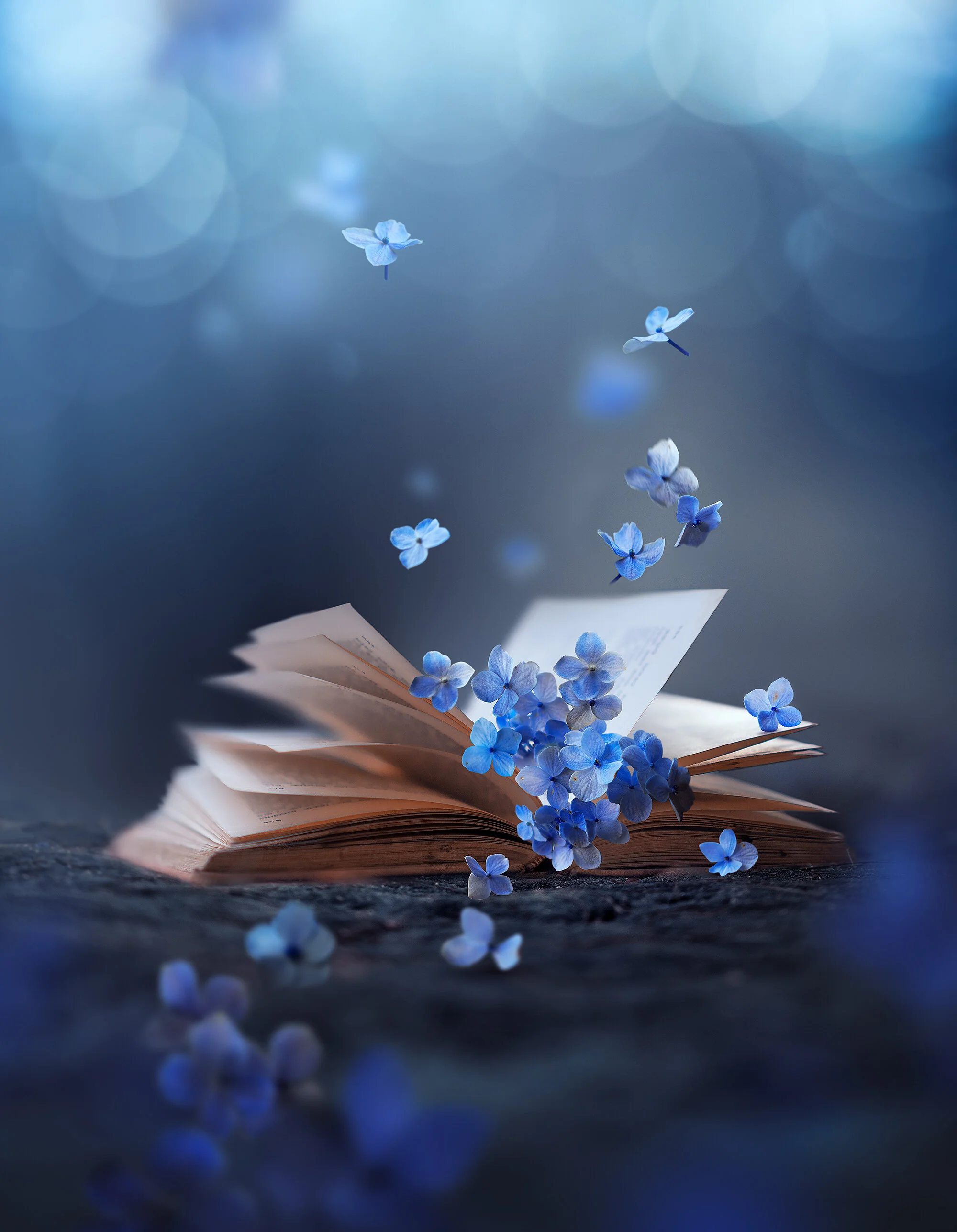Ashraful Arefin - An In-Depth Interview On Photography, Cinemagraphs ...