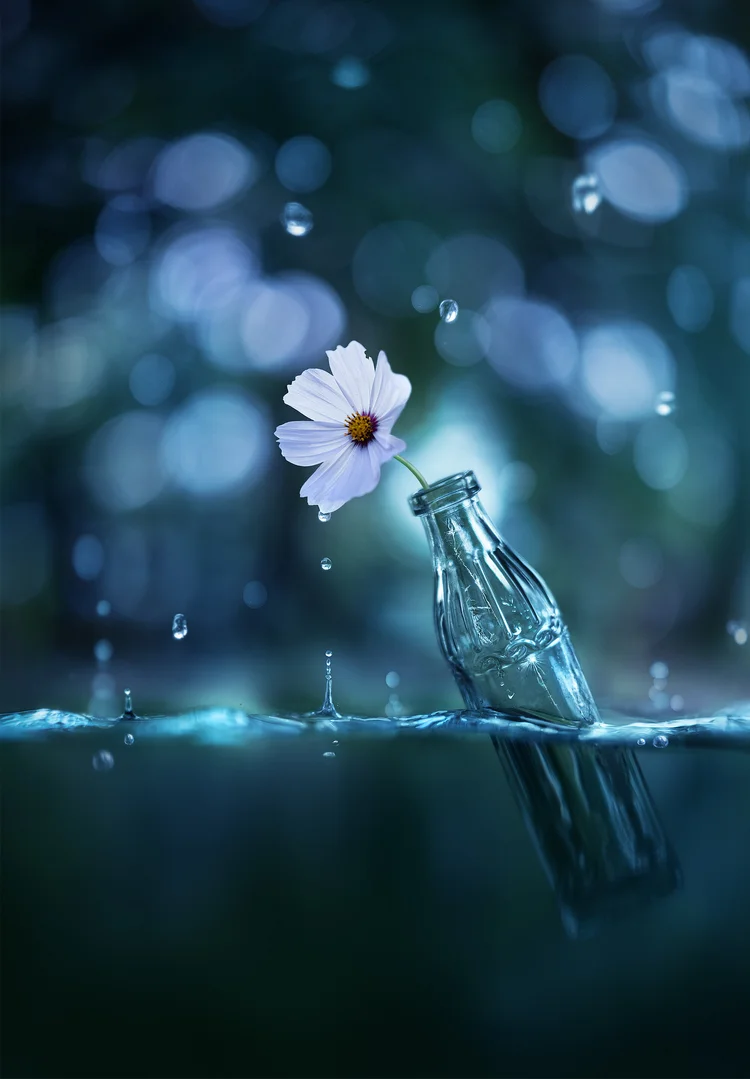 Ashraful Arefin - An In-Depth Interview On Photography, Cinemagraphs ...