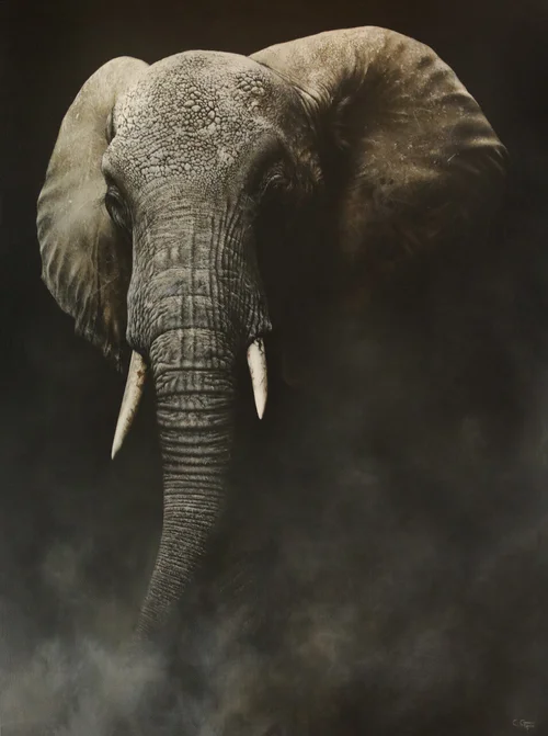Australian Based Realistic Acrylic Wildlife Artist Carla Grace - Art ...