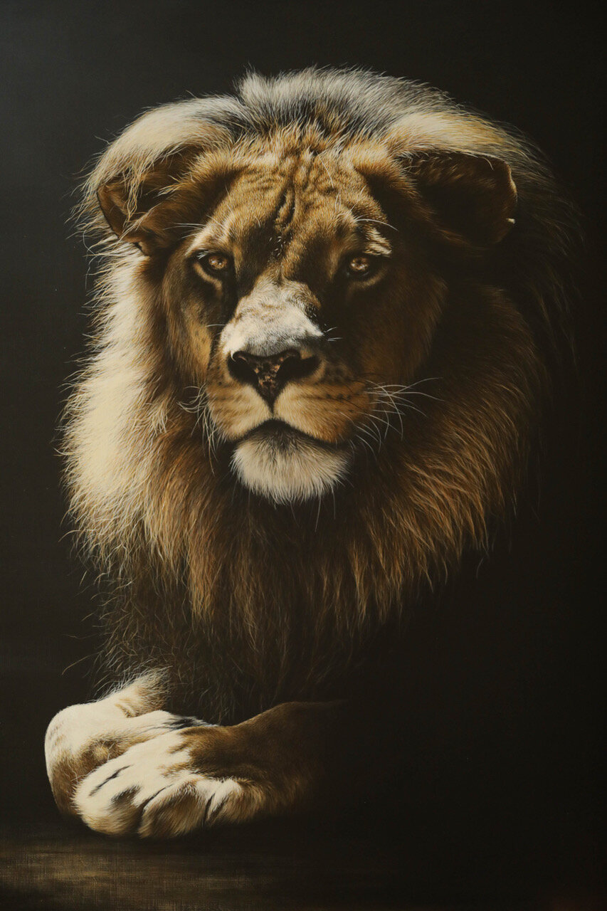 Australian Based Realistic Acrylic Wildlife Artist Carla Grace - Art ...