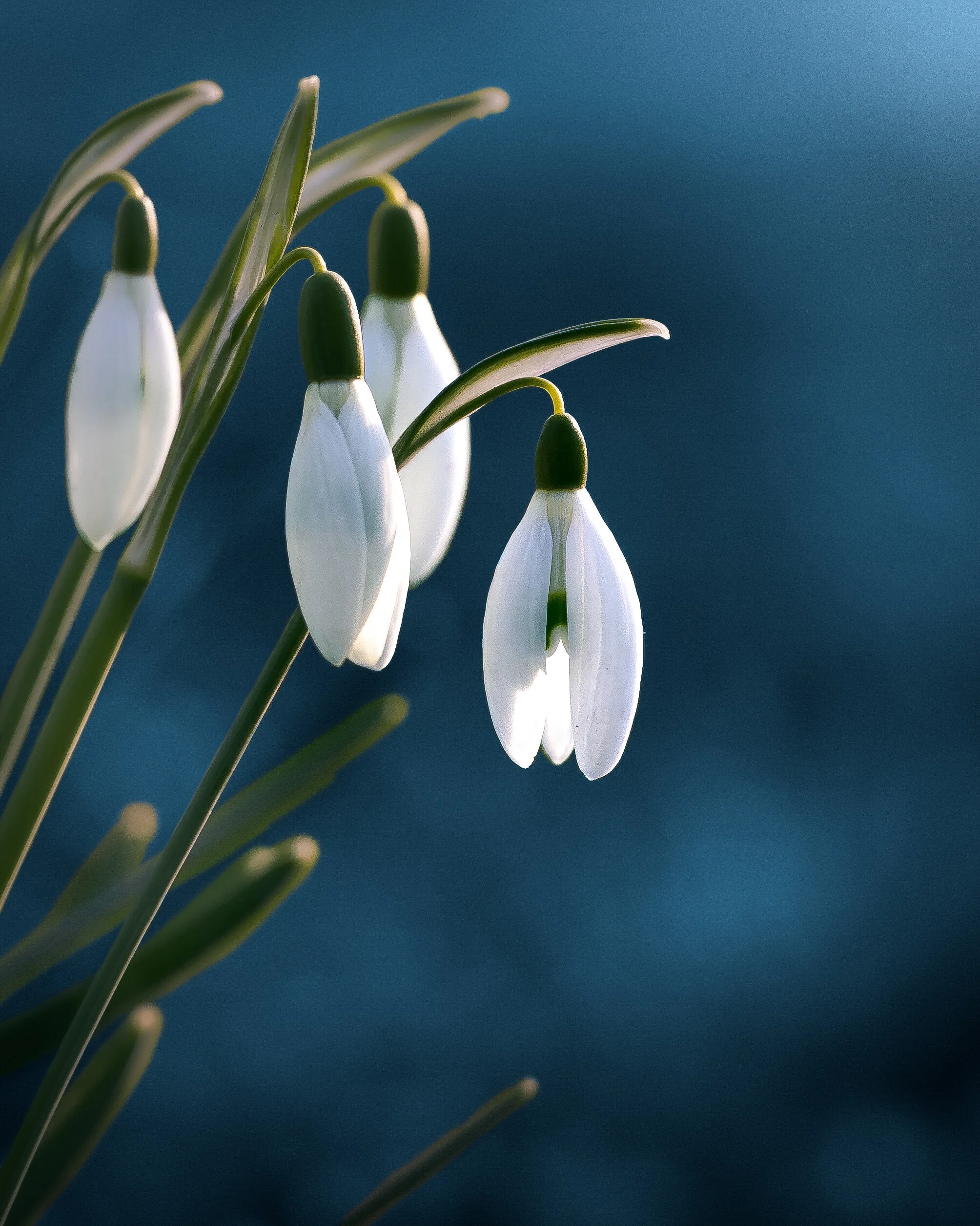 Nature Photographer Esther (@Esthers_Eyes) On Macro Photography ...