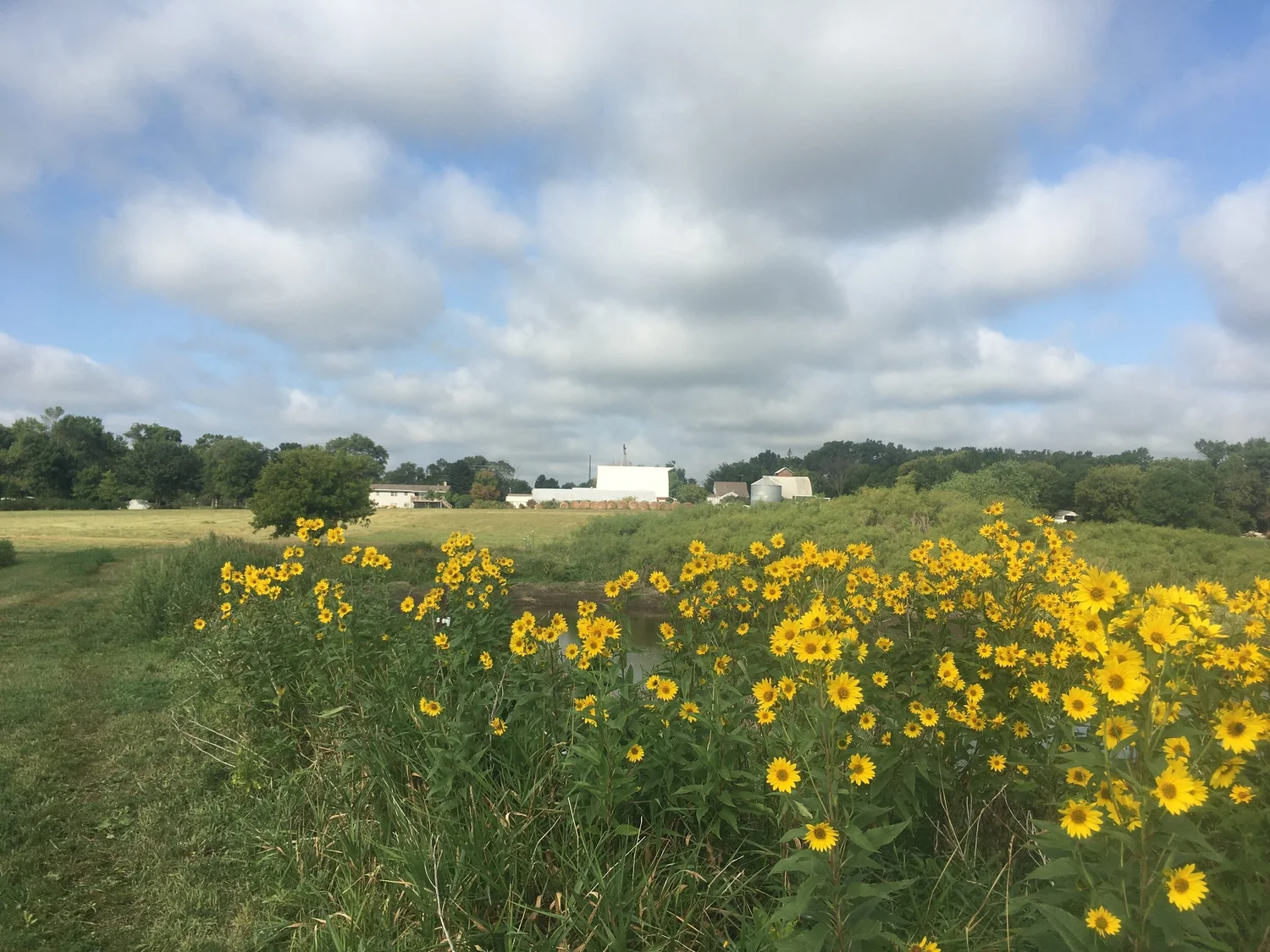 Growing Good Roots — Good Roots Farm & Gardens