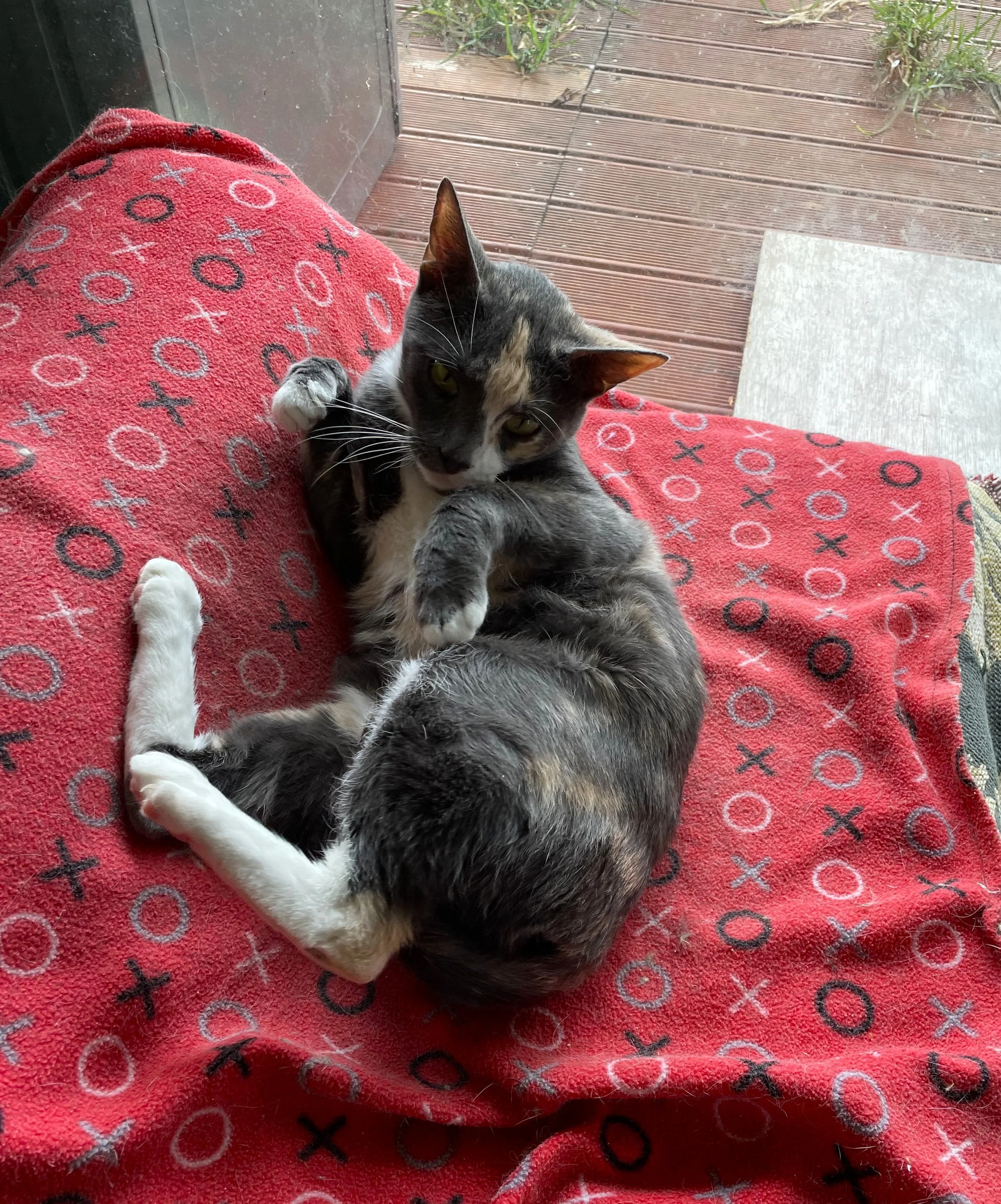 Keiko — SAFE Perth