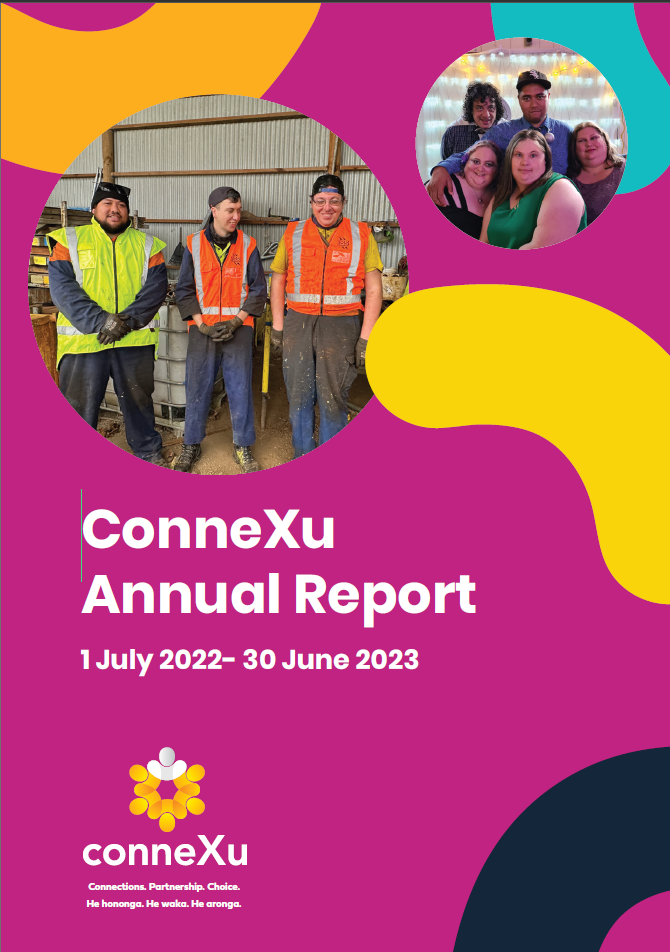 Annual Reports — ConneXu