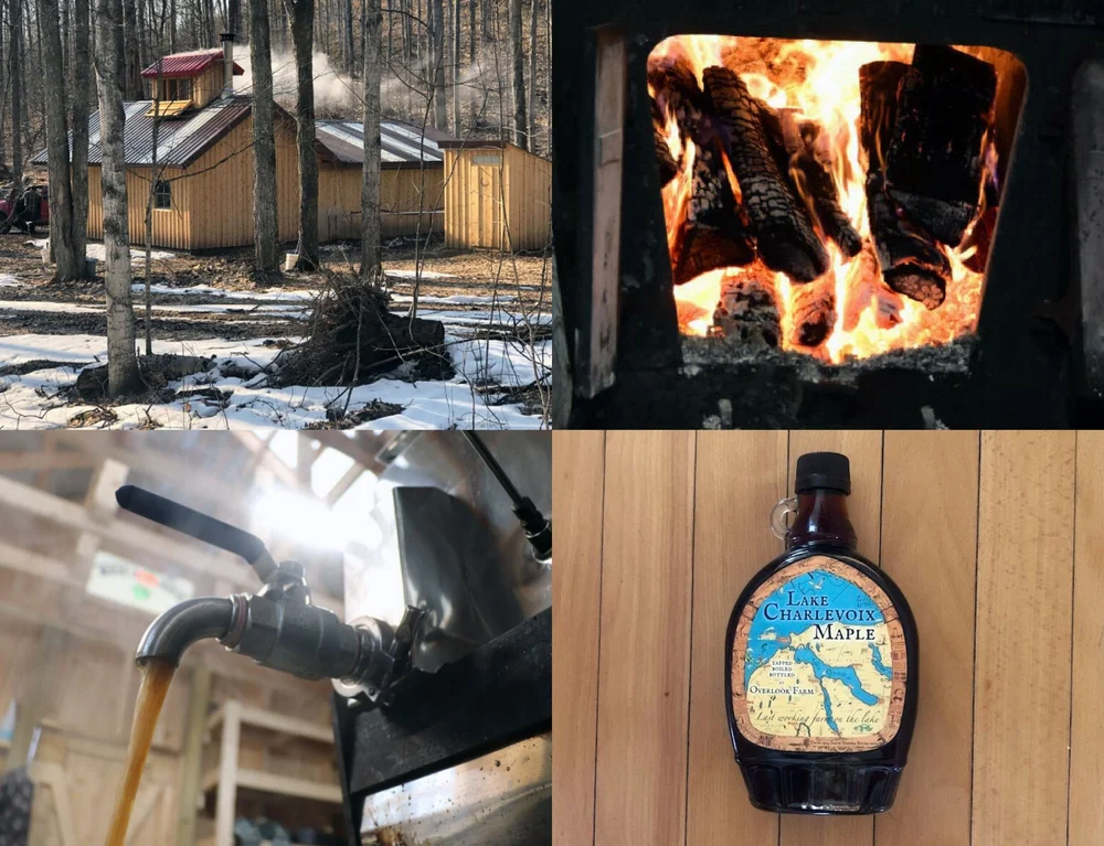 Family Farm Lake Charlevoix Maple Syrup | Ann Arbor, MI