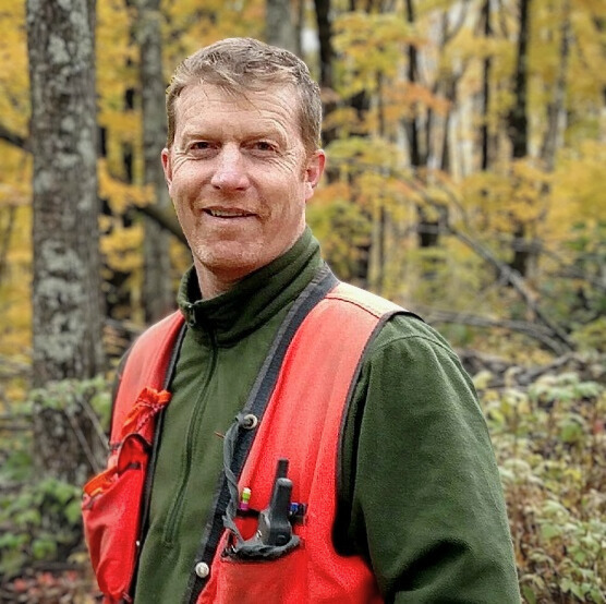 Minnesota Foresters | Itasca Woodland Services