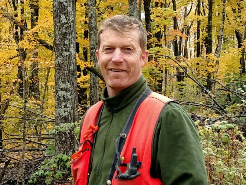 What is a Consulting Forester? | Itasca Woodland Services