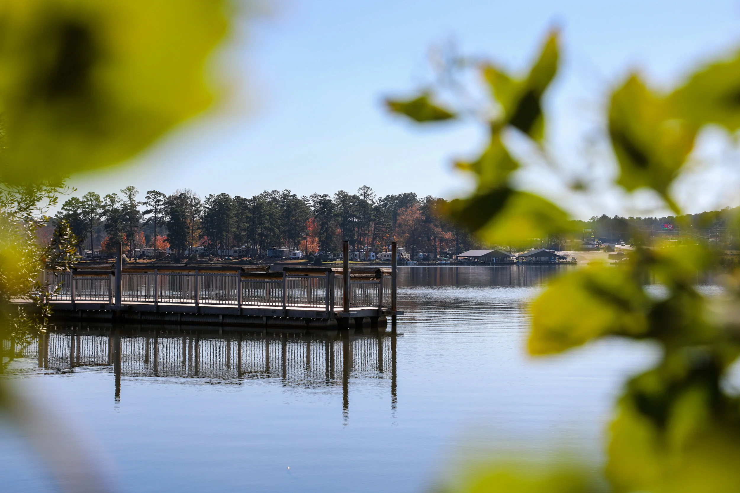 Things To Do — Lake Sinclair Life