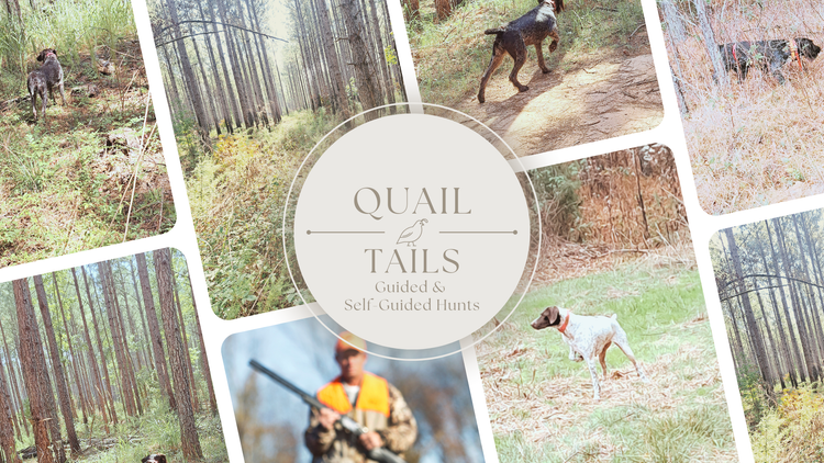 Hunting And Fishing Around Lake Sinclair: The Ultimate Guide — Lake ...
