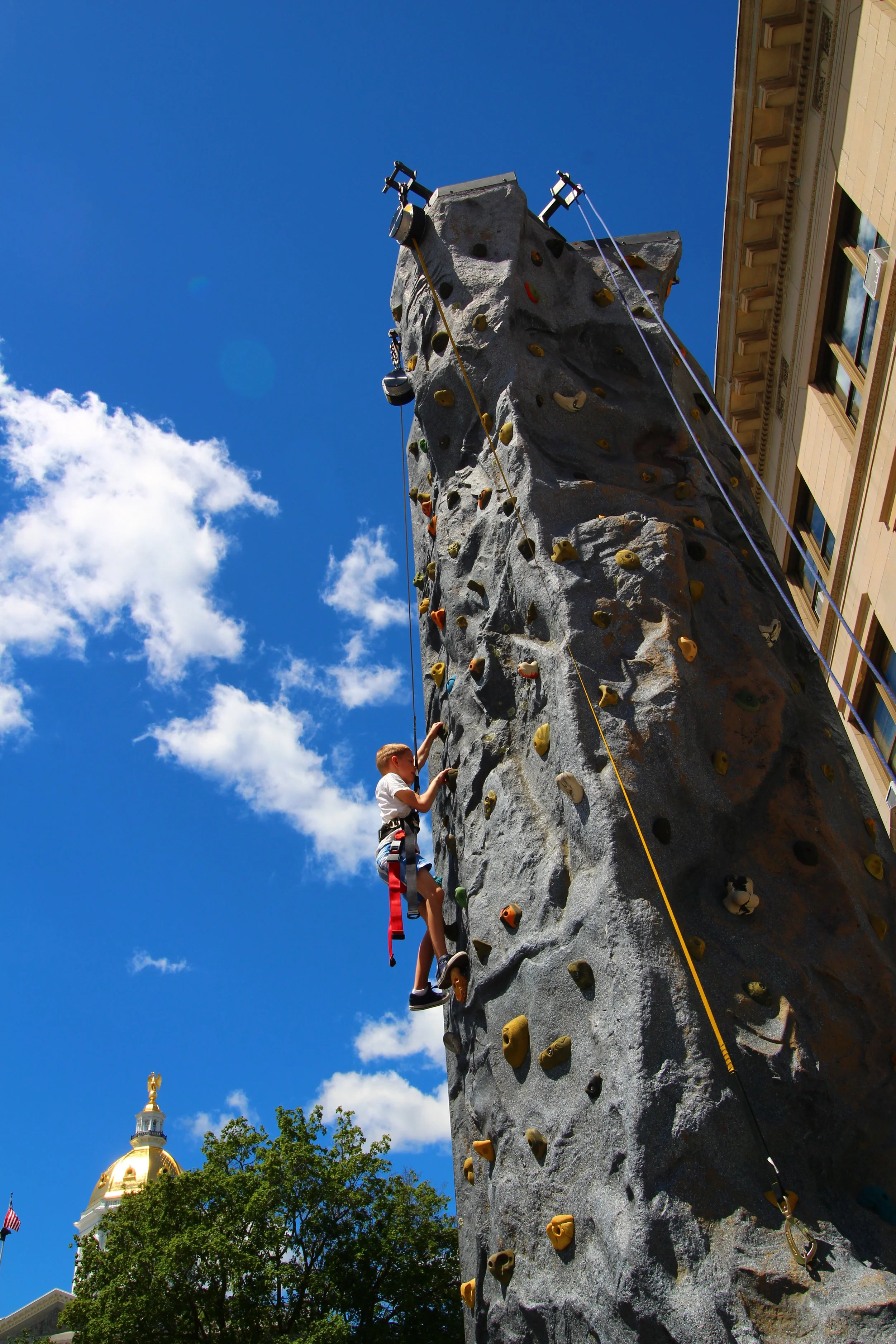 Portable Rock Climbing Wall