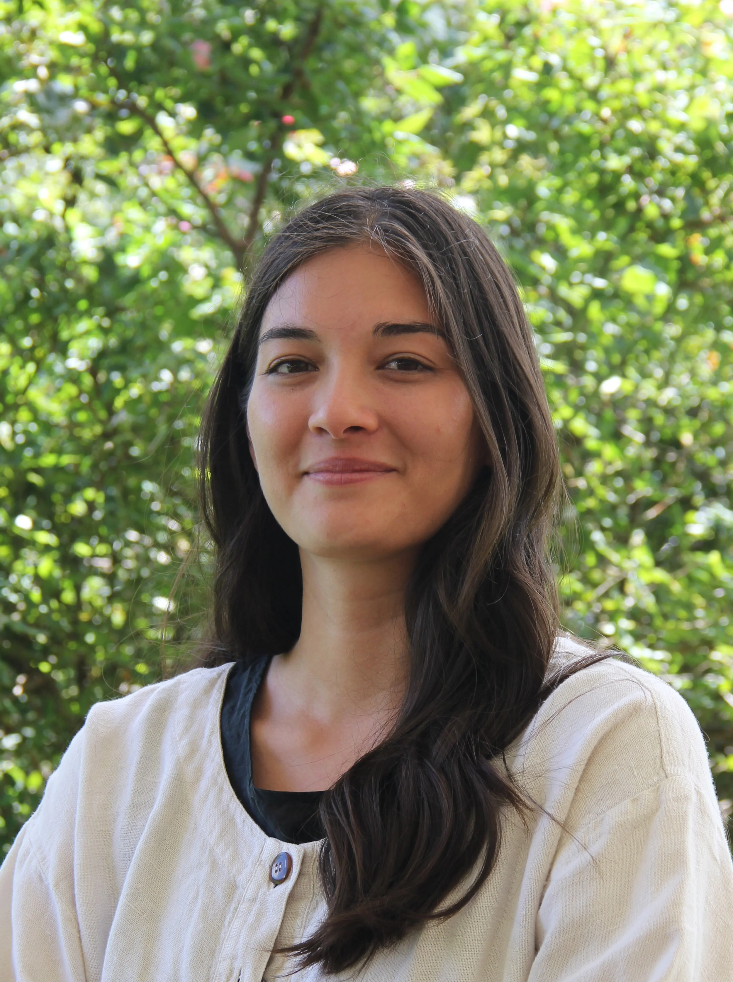 About Us — Waterstreet Studio