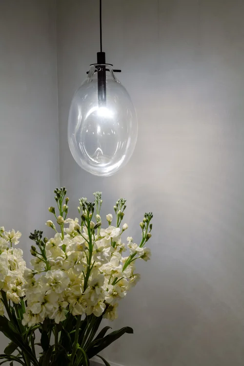Curio Interior Design