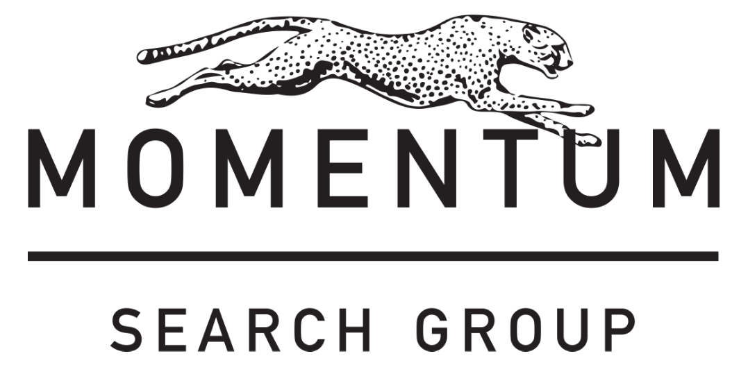 What We Do — Momentum Search Group