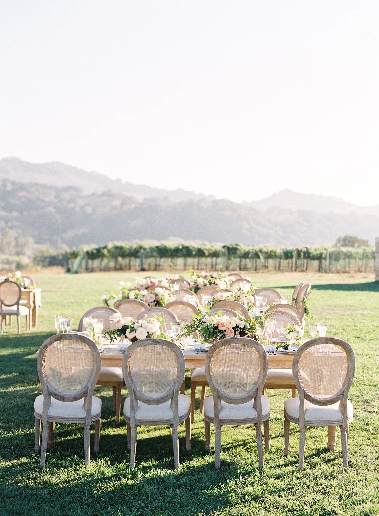 Rose Inspired Wedding — JOY PROCTOR