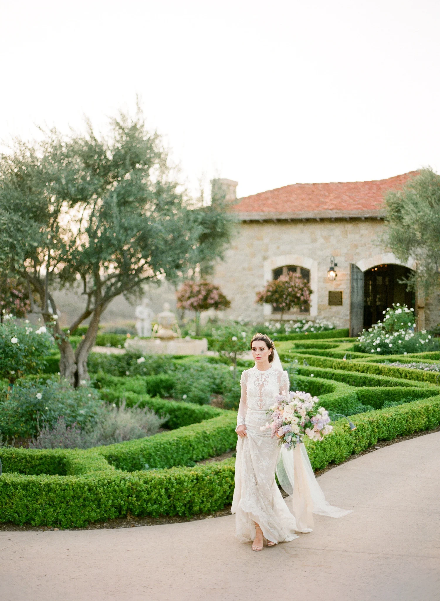 A Dream in Violet — JOY PROCTOR